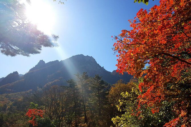Private English Speaking Driver: Seoraksan & East Sea or Nami Island from Seoul - Why Consider This Tour?