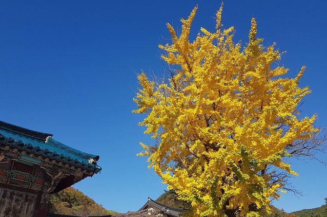 Private English Speaking Driver: Seoraksan & East Sea or Nami Island from Seoul - Practical Details & Why They Matter