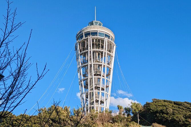 Private Enoshima and Kamakura Custom Walking Tour - Who Should Consider This Tour?