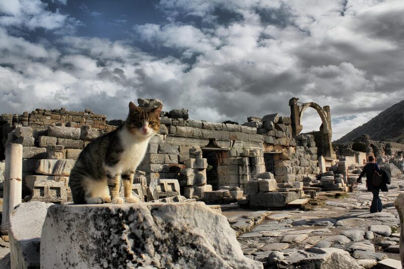 Private Ephesus,irince,Virgin Marry House Tour - Why This Tour is a Great Choice