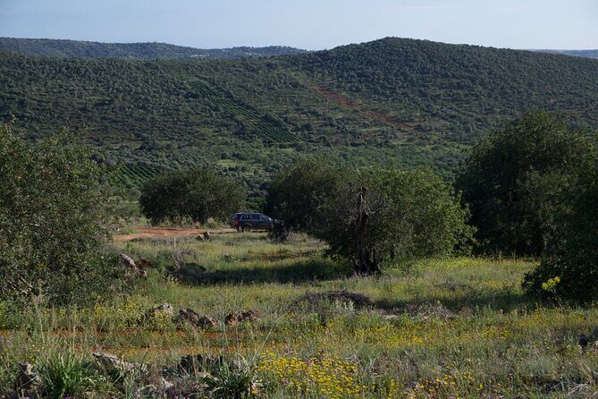 Private escape in the backcountry - Practical Considerations