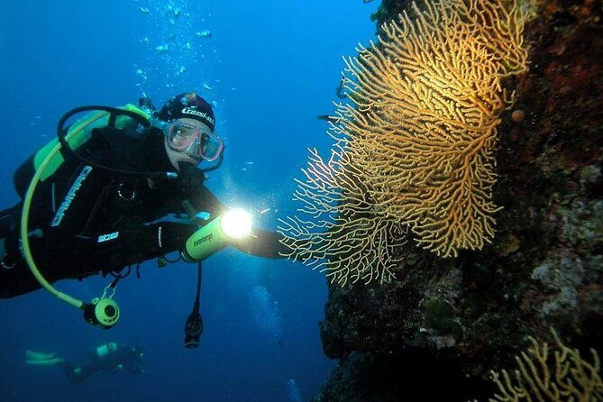 Private Escape to Blue cave and islands from Split - Final Thoughts: Who Should Consider This Tour?