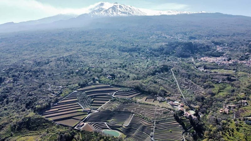 Private Etna panoramic tour+Wine tasting & food combination - Who Will Love This Tour?