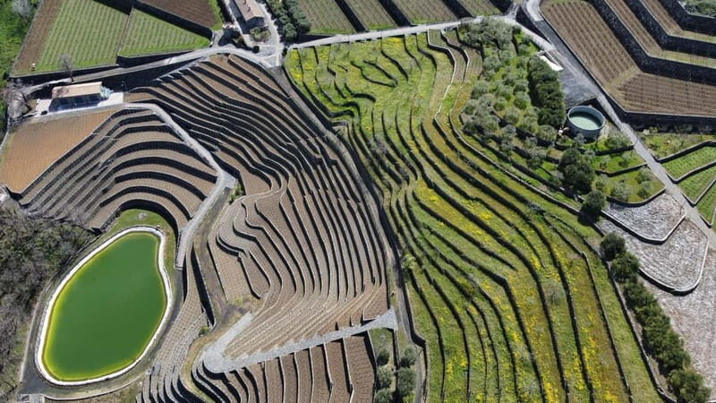 Private Etna panoramic tour+Wine tasting & food combination - FAQs