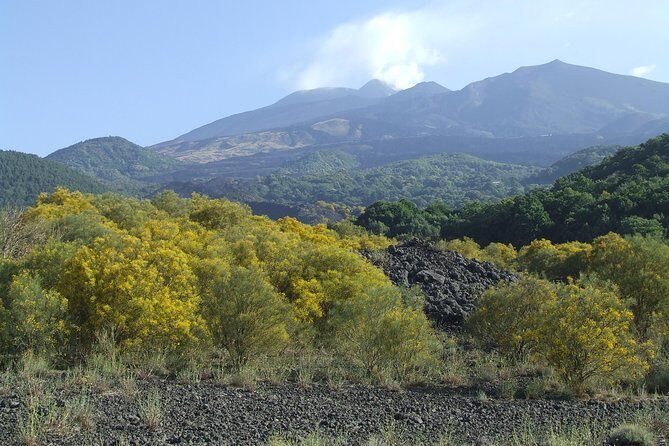 Private Etna tour from Messina Cruise Terminal+ Lunch at Winery - Frequently Asked Questions
