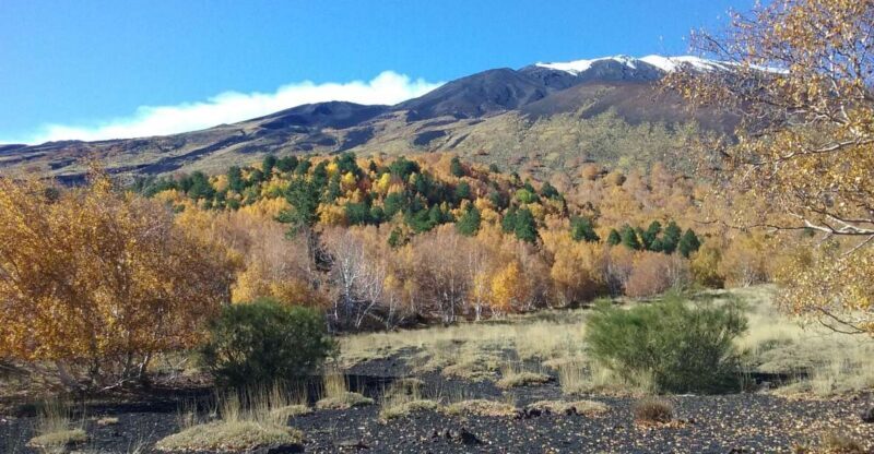 Private Etna Tour from Taormina - An In-Depth Look at the Mount Etna Private Tour