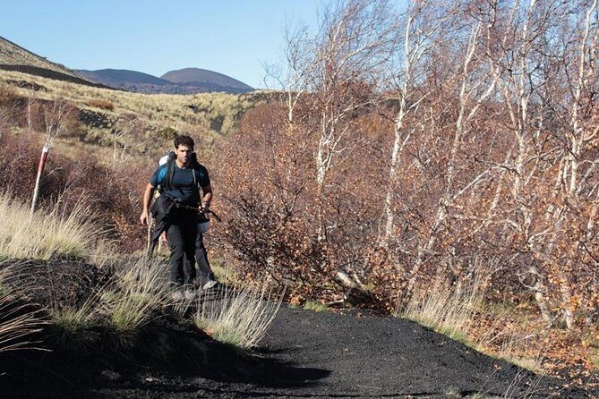 Private Etna Trekking half day tour from Taormina - The Experience and What Travelers Say