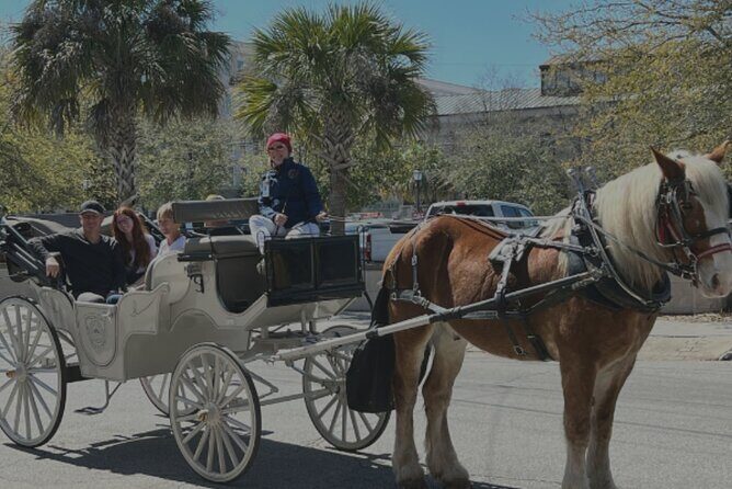 Private Evening Carriage Tour Charleston - Palmetto Carriage - An In-Depth Look at the Experience