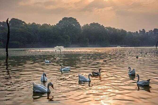 Private Evening Hauz Khas Walking Tour - Real-Life Experiences from Travelers