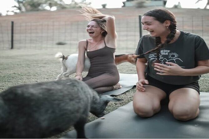 Private Event Goat Yoga Class - FAQ — Frequently Asked Questions