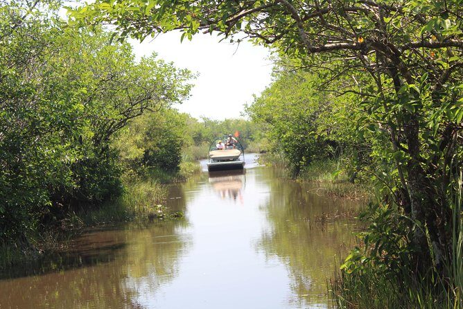 Private Everglades Airboat Tour including hotel pick up and Everglades specialist - Why This Tour is Worth Your Time
