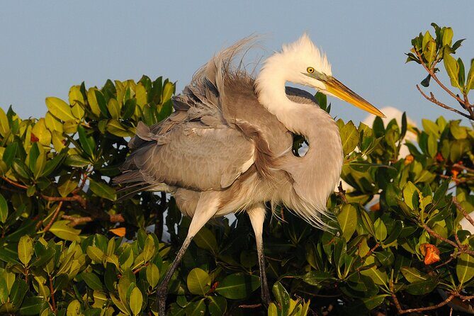 Private Everglades National Park Photography, Birding and Wildlife Safari - Conclusions