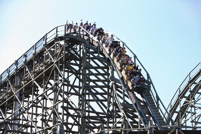 Private Everland Theme Park Tour - Who Should Consider This Tour?