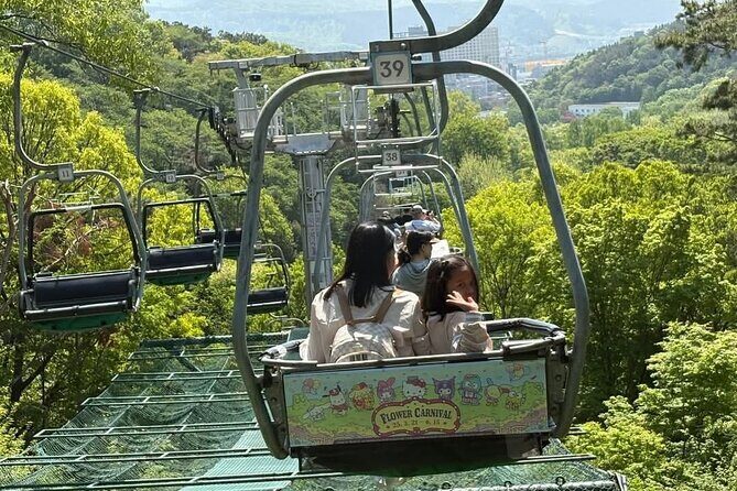Private Everland Theme Park Transfer - Pricing and Value