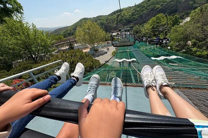 Private Everland Theme Park Transfer - The Downside to Consider