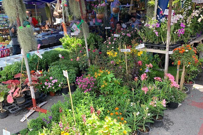 Private Exclusive Guided Chatuchak Weekend Market Shopping Tour - Cost, Value, and Suitability for Travelers