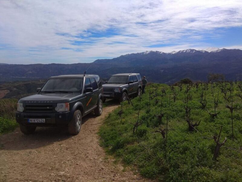 Private Exclusive Manousakis Winery and Vineyard Tour - Exploring the Private Exclusive Manousakis Winery and Vineyard Tour