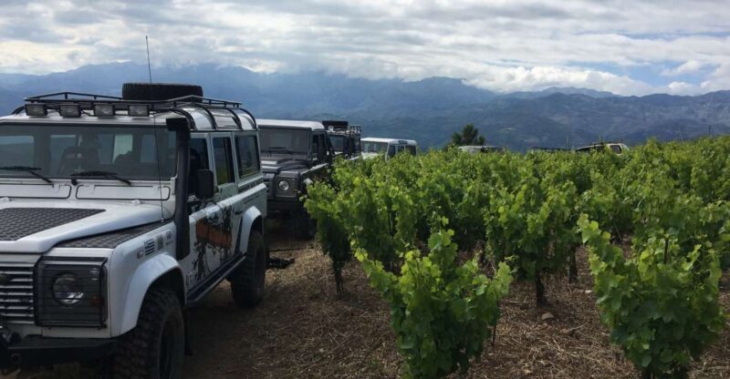 Private Exclusive Manousakis Winery and Vineyard Tour - What Travelers Say