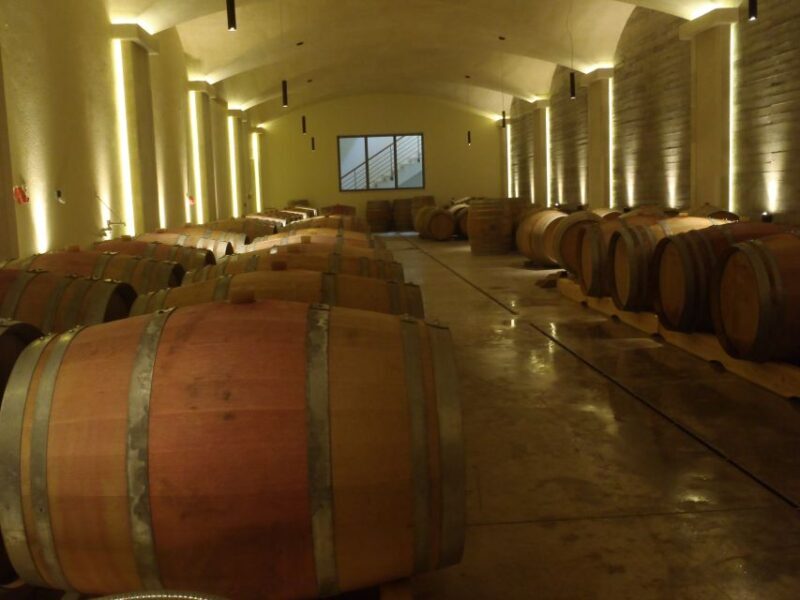 Private Exclusive Manousakis Winery and Vineyard Tour - The Sum Up: Is It Worth Your While?