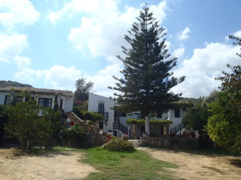 Private Exclusive Manousakis Winery and Vineyard Tour - FAQ