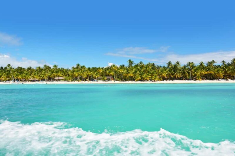 Private: Exclusive Saona Island VIP Speedboat Charter - Dining in Paradise: Gourmet Caribbean Lunch