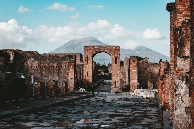 Private Exclusive Tour of Pompeii ruins & wine tastings - Key Points