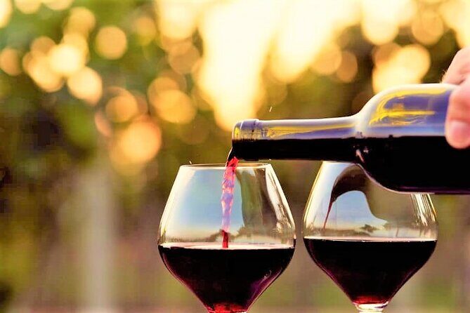 Private Excursion from Orange County Including Lunch + Tastings - The Itinerary and What to Expect