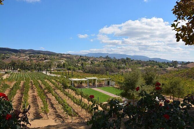 Private Excursion from Orange County Including Lunch + Tastings - FAQ