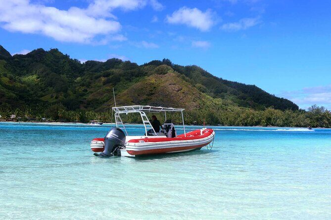 Private excursion Half day Moorea Discovery of the lagoon - Key Points