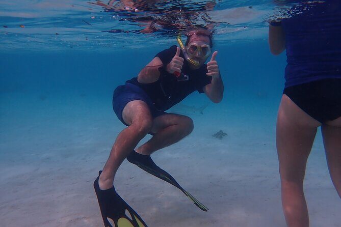 Private excursion Half day Moorea Discovery of the lagoon - FAQ
