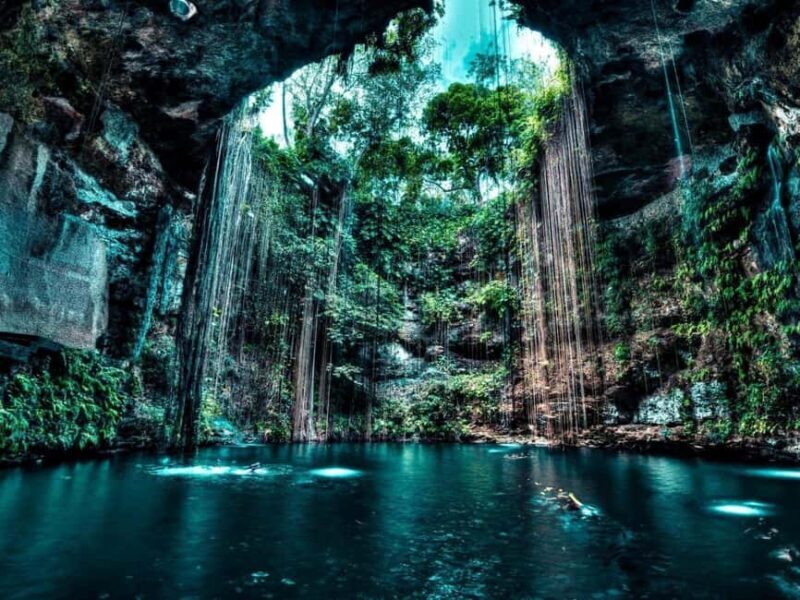 Private Excursion to Cenote Santa Barbara Homun with Transportation - Key Points