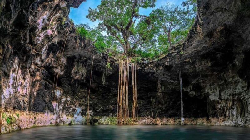Private Excursion to Cenote Santa Barbara Homun with Transportation - Thumbs Up and Considerations
