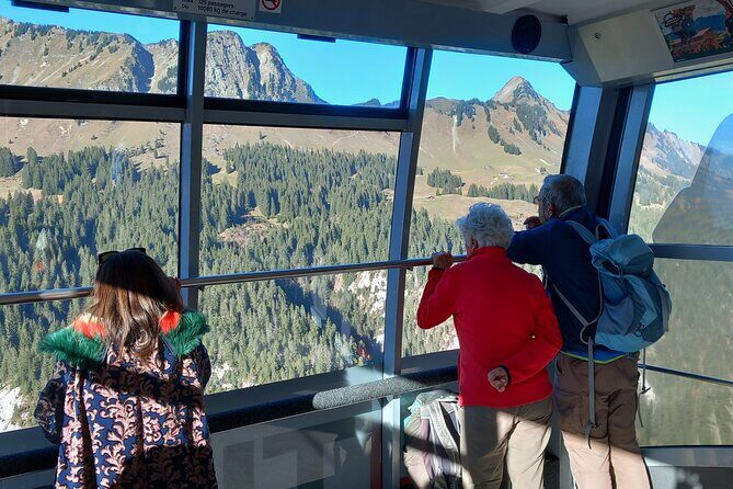 Private Excursion to Glacier 3000 - Who Will Love This Tour?