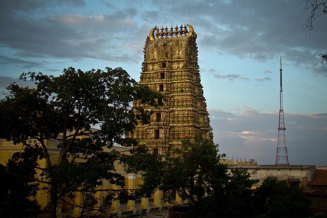 Private Excursion to Mysore and Srirangapatna from Bengaluru - Who Will Love This Tour?