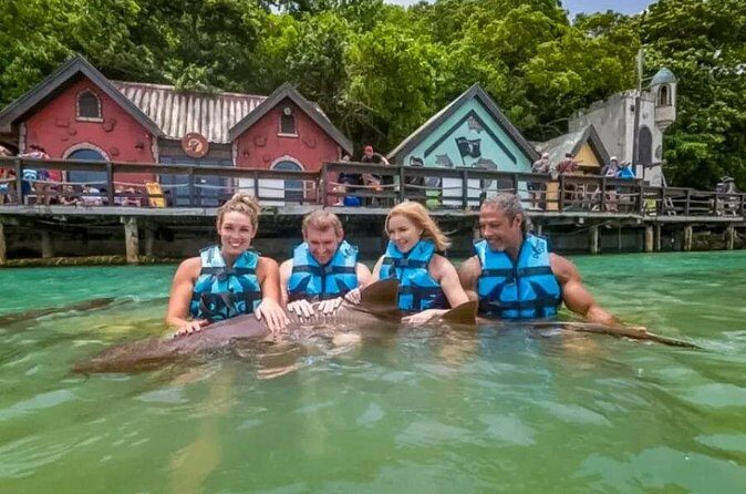 Private Excursion to Mystic Mountain and Dolphin Cove - FAQ