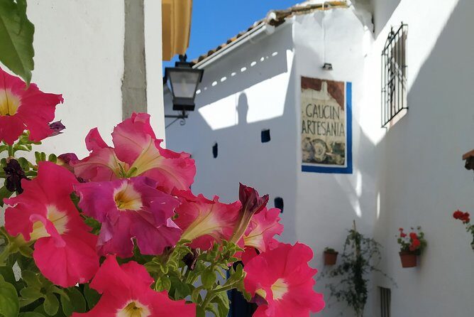 Private Excursion to Ronda from Costa del Sol 7 Hours - FAQs