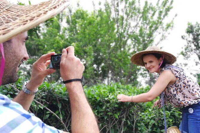 Private Excursion to Tea Village in Lost Town and Leshan Buddha - Exploring the Itinerary in Detail