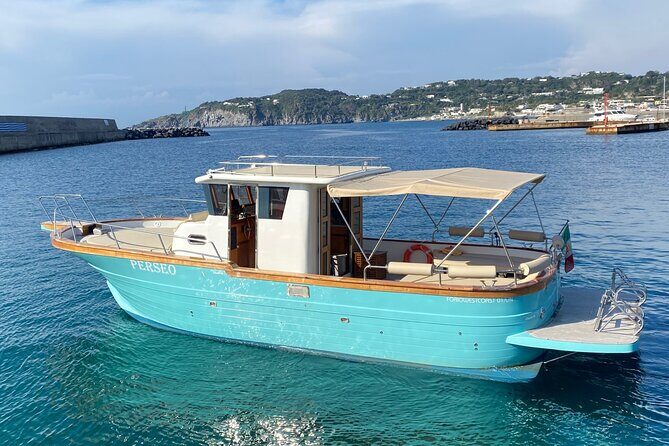 Private excursion to the island of Ischia with Gozzo Cilento 12m - Who Should Book This Tour?