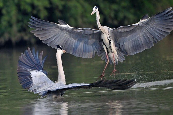 Private Excursion Trip to Bharatpur's Keoladeo National Park From Delhi - Key Points