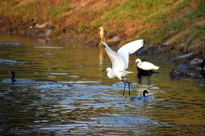 Private Excursion Trip to Bharatpur's Keoladeo National Park From Delhi - A Closer Look at the Experience