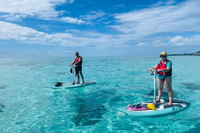 Private Excursion with E-Board in Moorea with snorkeling - The Itinerary: What You Can Expect