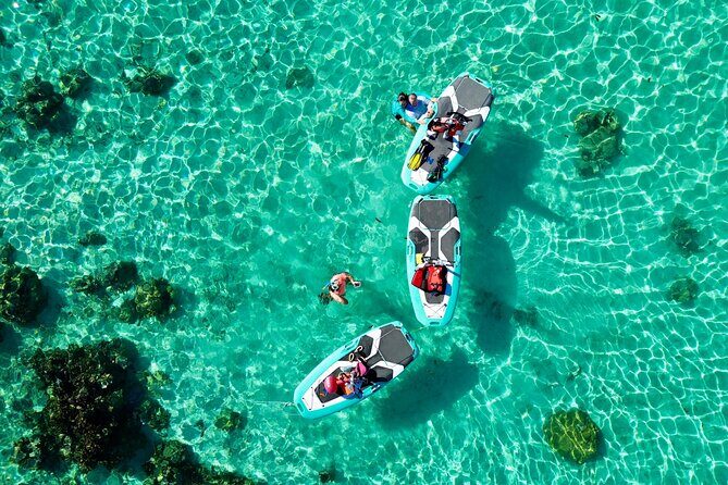 Private Excursion with E-Board in Moorea with snorkeling - The Reviews Speak Volumes