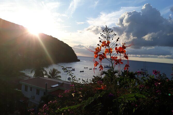 Private excursions à la carte in Martinique - An In-Depth Look at the Tour Experience