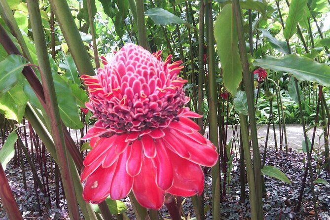 Private excursions à la carte in Martinique - FAQ