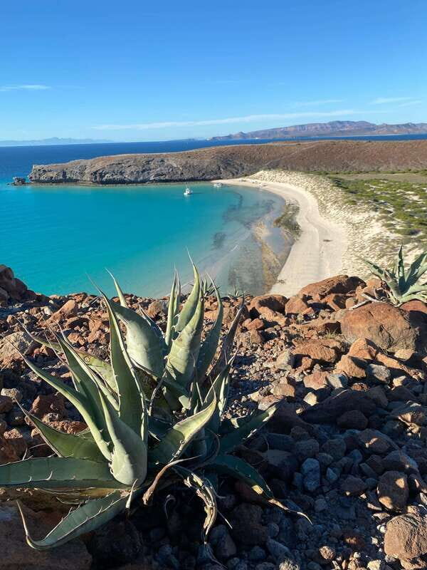 Private experience from Los Cabos to La Paz: (Balandra) - What’s Included and What’s Not