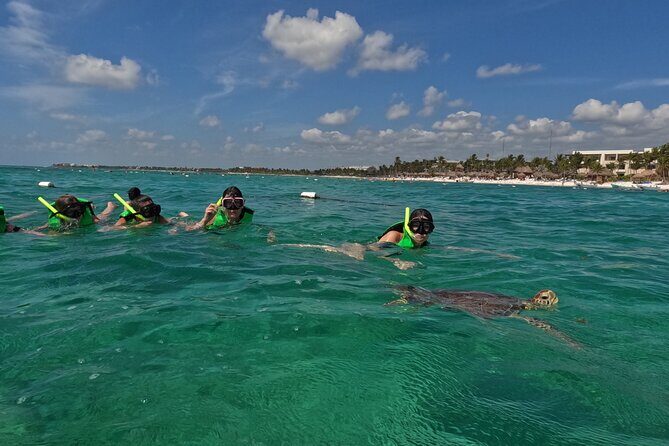 Private Experience in Akumal with Snorkeling - Final Thoughts
