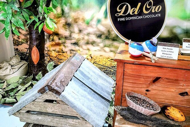 Private Experience Puerto Plata Full City Tour and Beach Time - Authentic Dominican Lunch