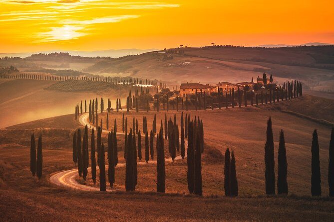 Private Experience Tuscany Tour from Rome - An In-Depth Look at the Tuscany Private Tour