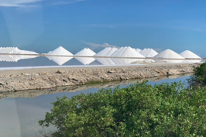 Private Exploration North & South Bonaire - The Sum Up