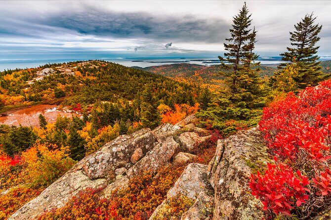 Private Exploration Tour of the Top Spots of Acadia - Combining Guided and Free Exploration